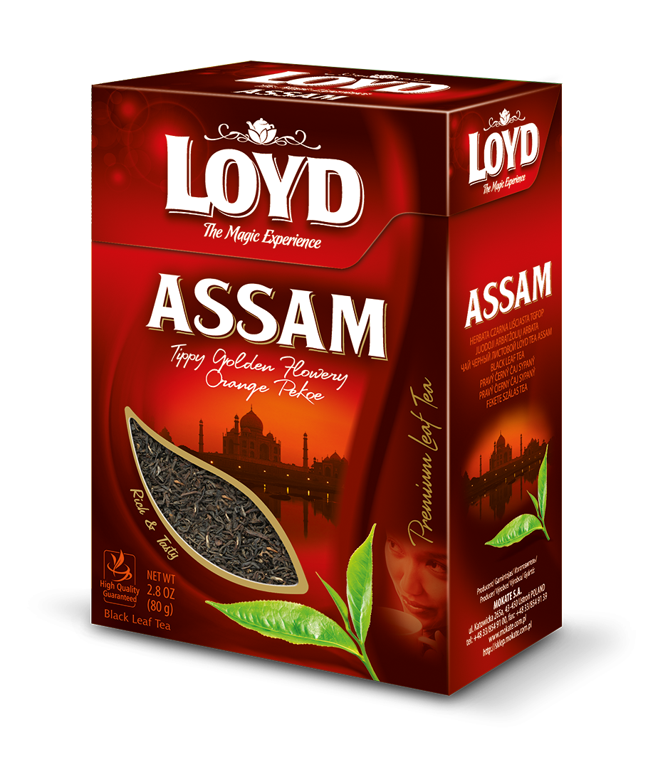 Loyd – The Magic Experience