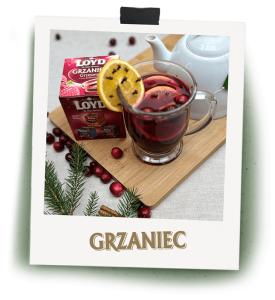 Loyd – The Magic Experience