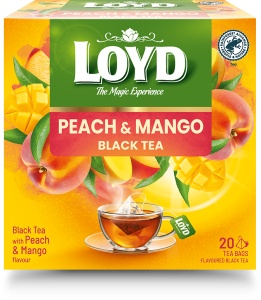 Loyd – The Magic Experience
