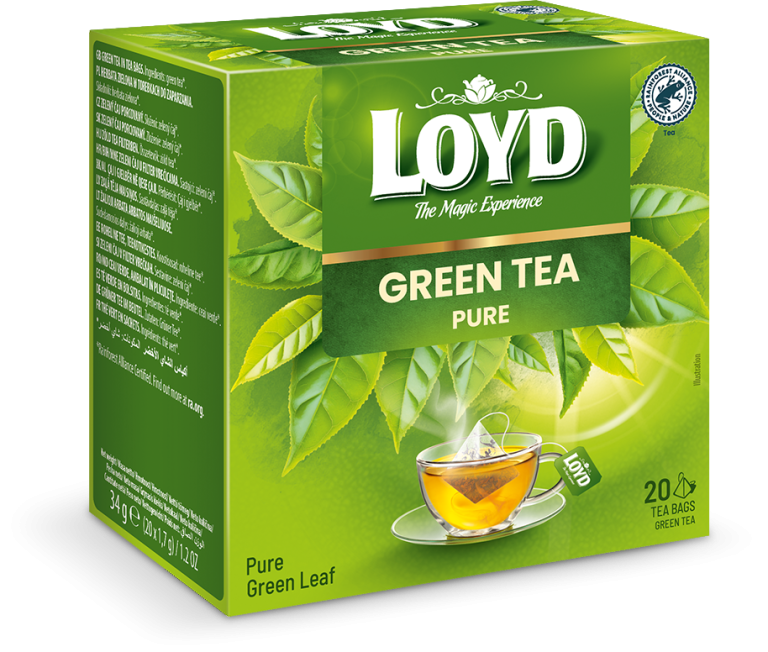 Loyd – The Magic Experience